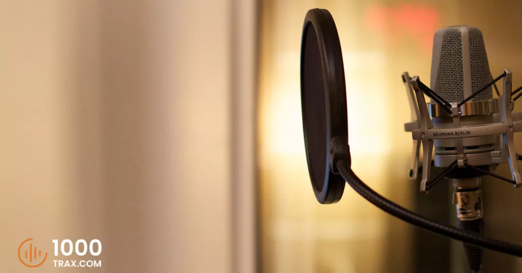 Music Streaming's Silent Battle: The undermining of rightful compensation for artists | 1000TRAX.com